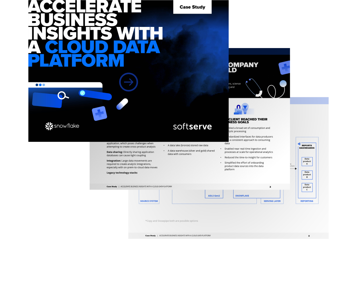Accelerate Business Insights with a Cloud Data Platform