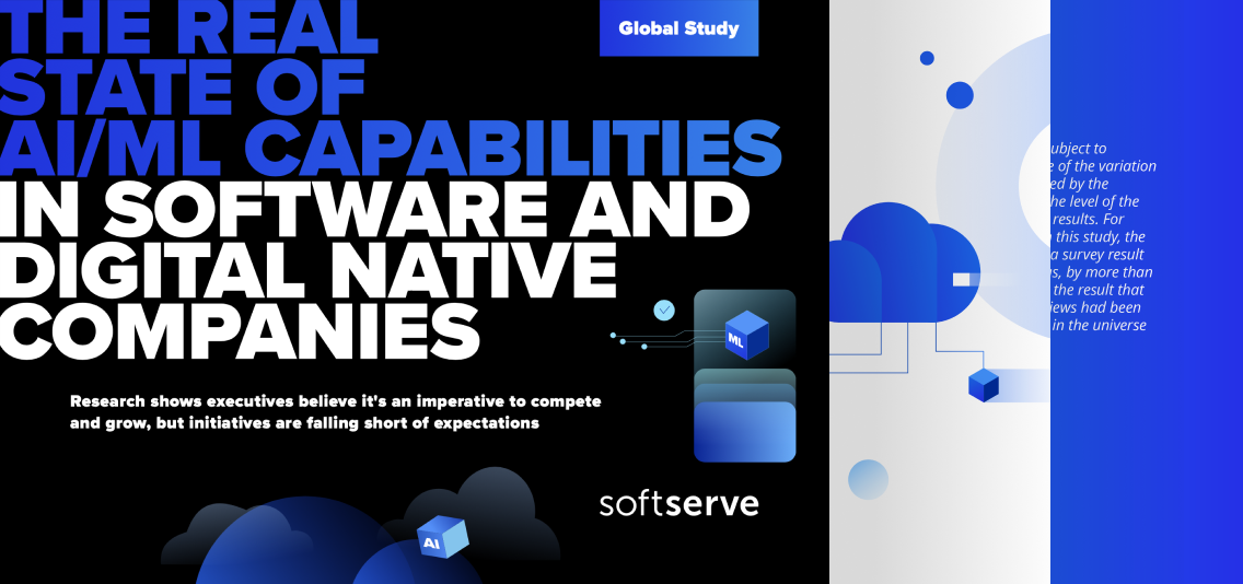 Real State of AI/ML Capabilities in Software/Digital Native Companies