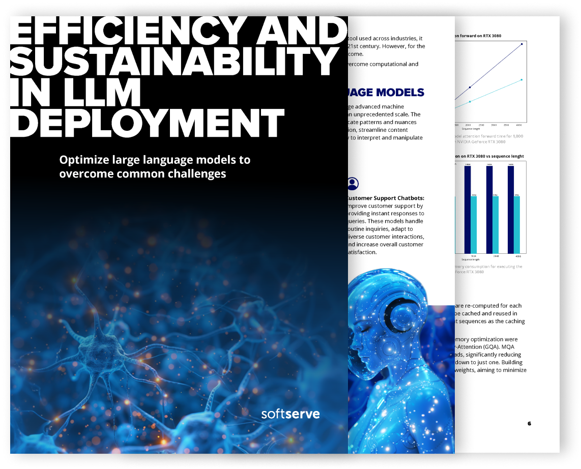 Efficiency and Sustainability in LLM Deployment